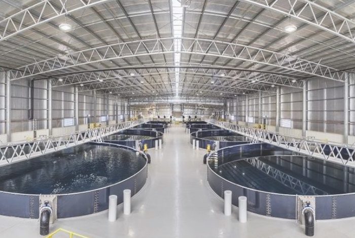 Sustainability - MainStream Aquaculture