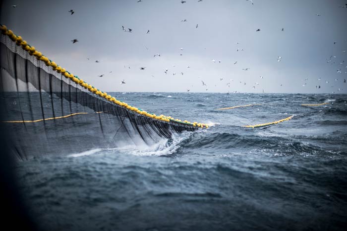 Sustainability - MainStream Aquaculture